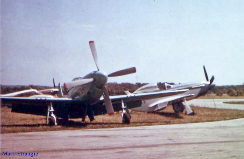 P-51 Mustang Who? Case# 388 - MustangsMustangs.com